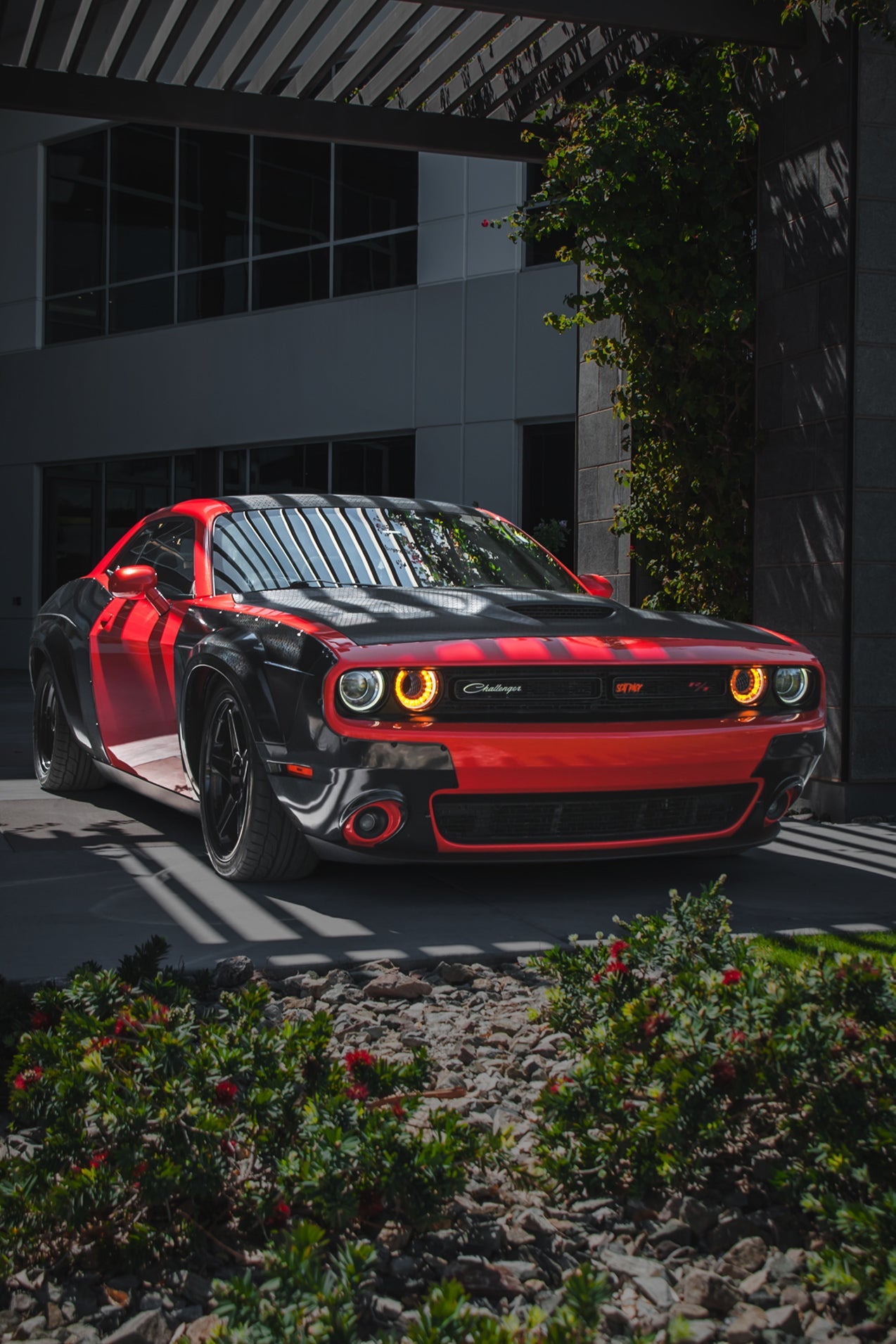 Carbon Fiber Vinyl – tinybotvinyl