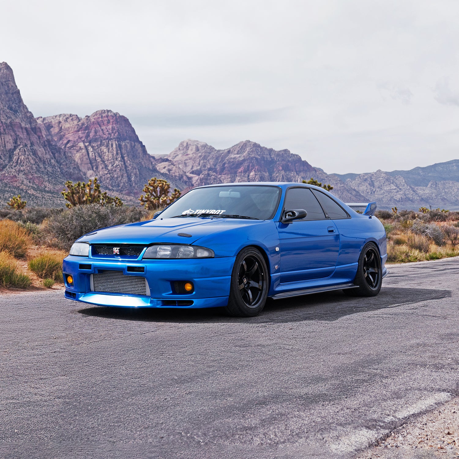 Bayside Blue – tinybotvinyl